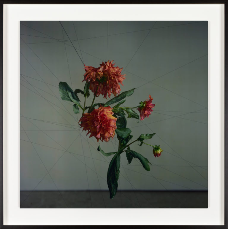 Fraenkel Gallery Presents Richard Learoyd – Paul Duclos' Cultural Currents