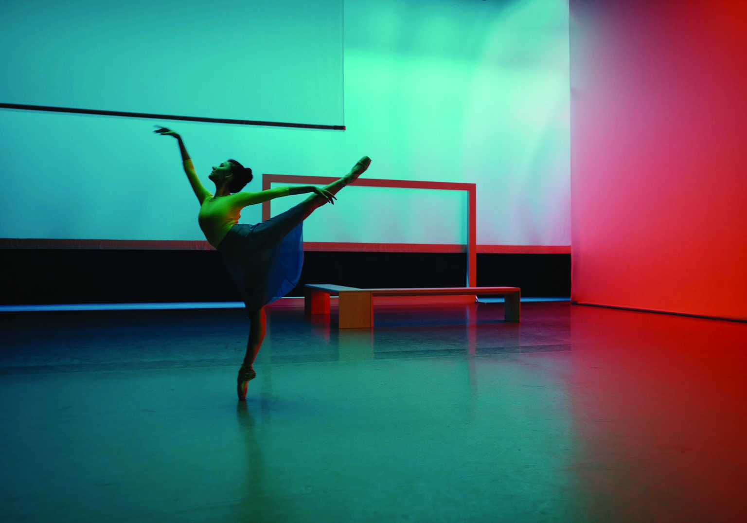 San Francisco Ballet Launches “The Colors of Dance” – Paul Duclos ...